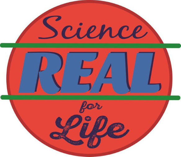 Real science for real life: Buoyancy – Kentucky Teacher